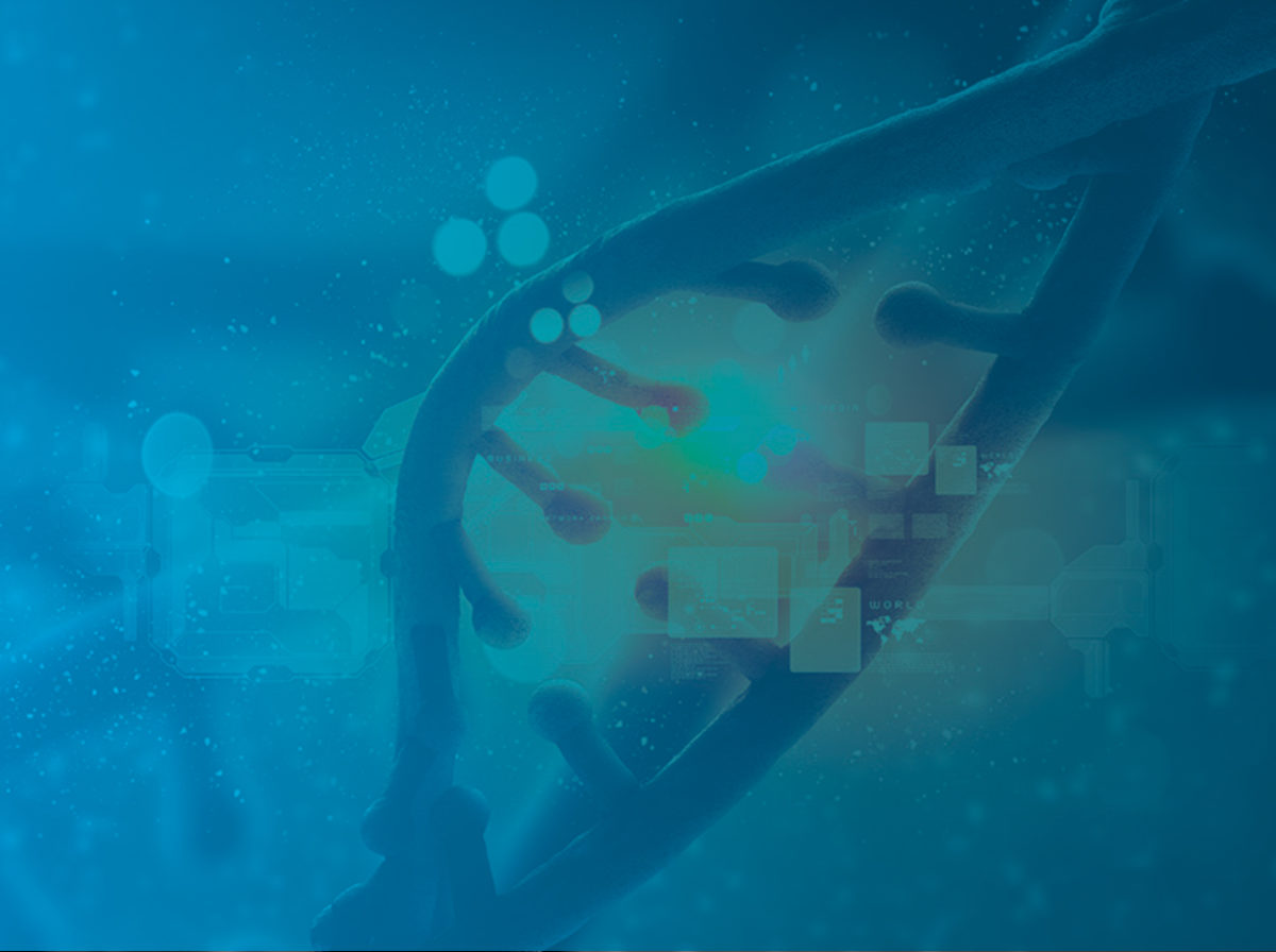 bg-player_experience_1 - MAZE Corp.